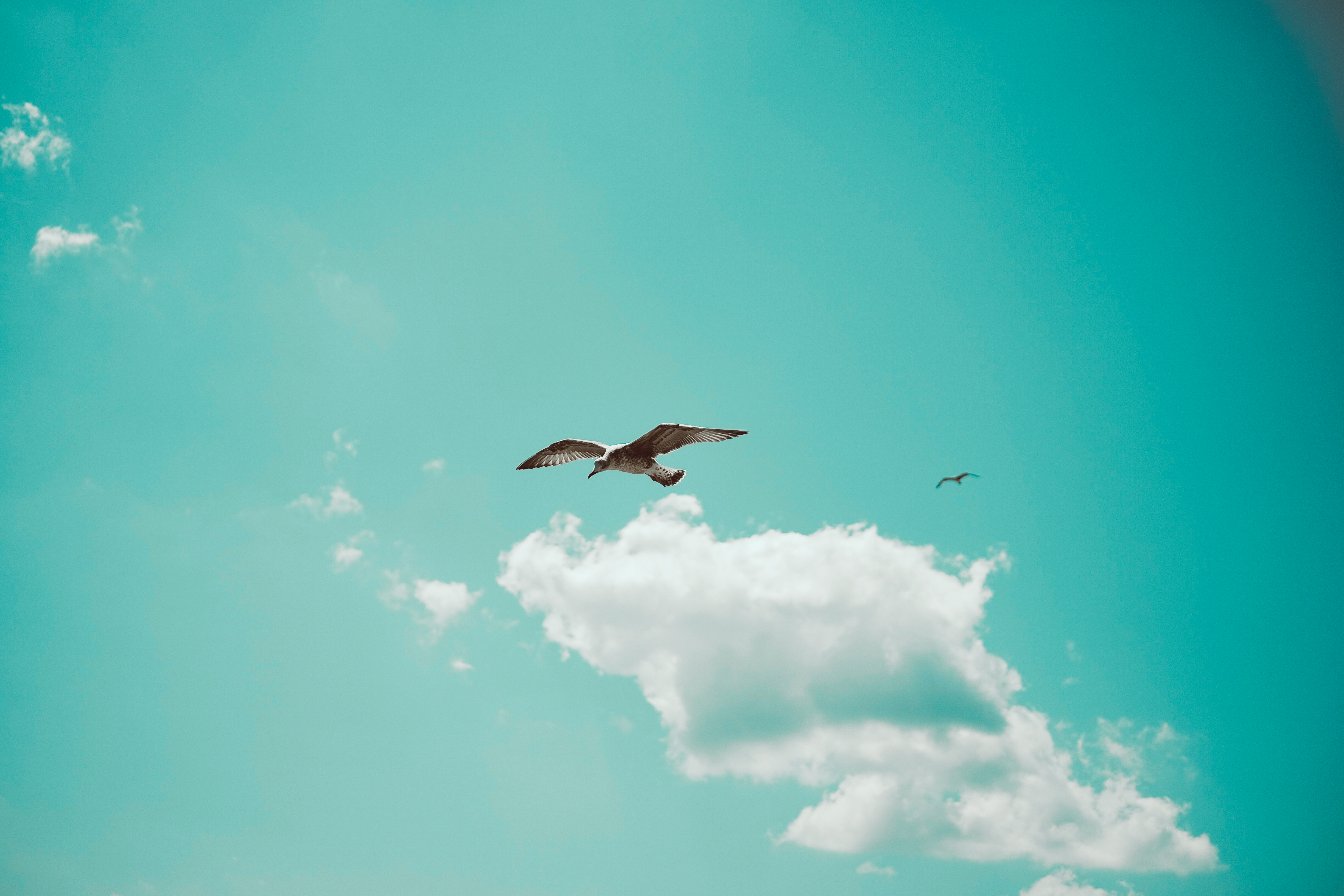 Using journal entries for a robust internal controls process